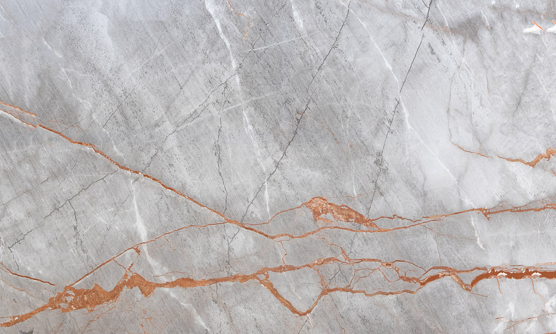 silver roots_vr6609_ - Marmi Orobici Graniti