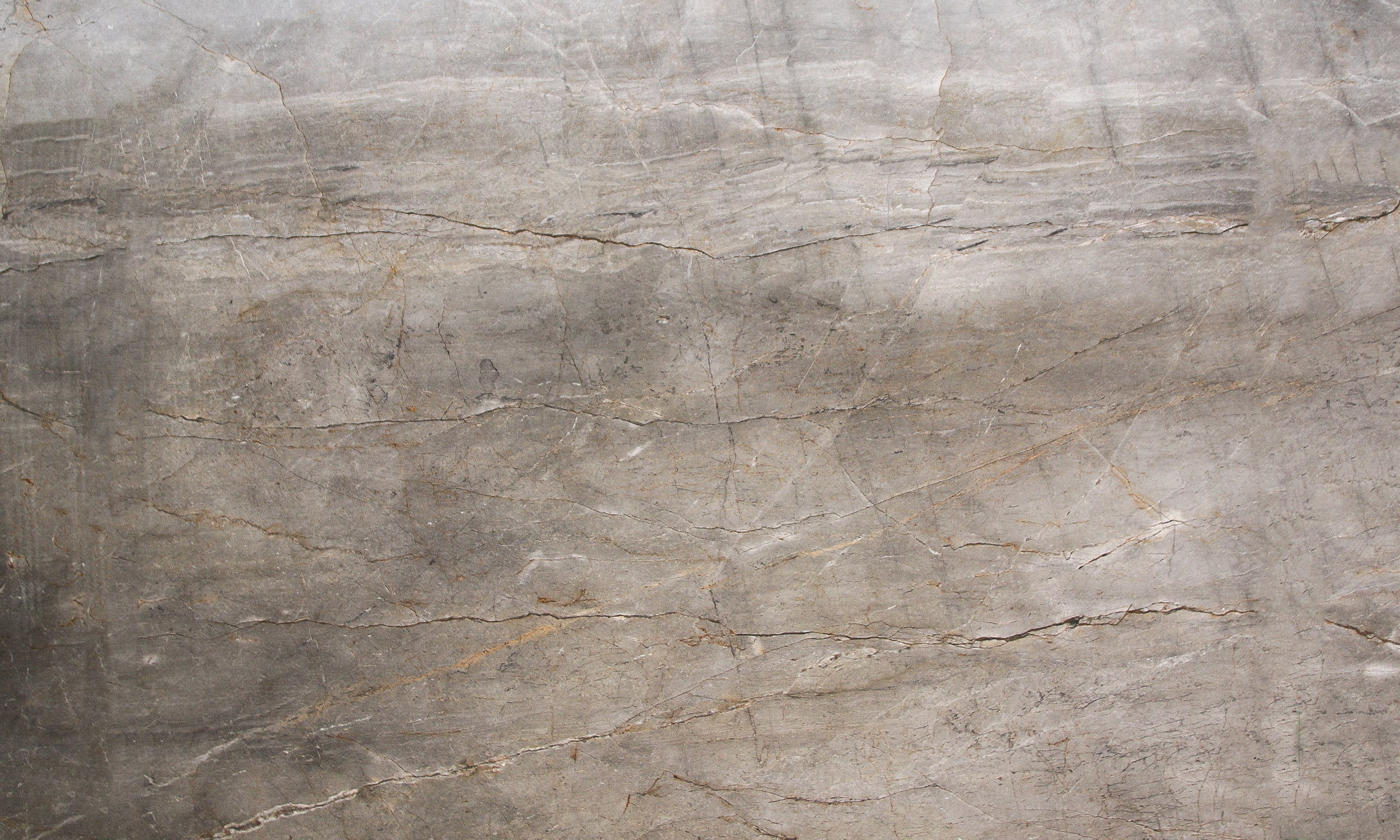 silver roots_vr7583 - Marmi Orobici Graniti