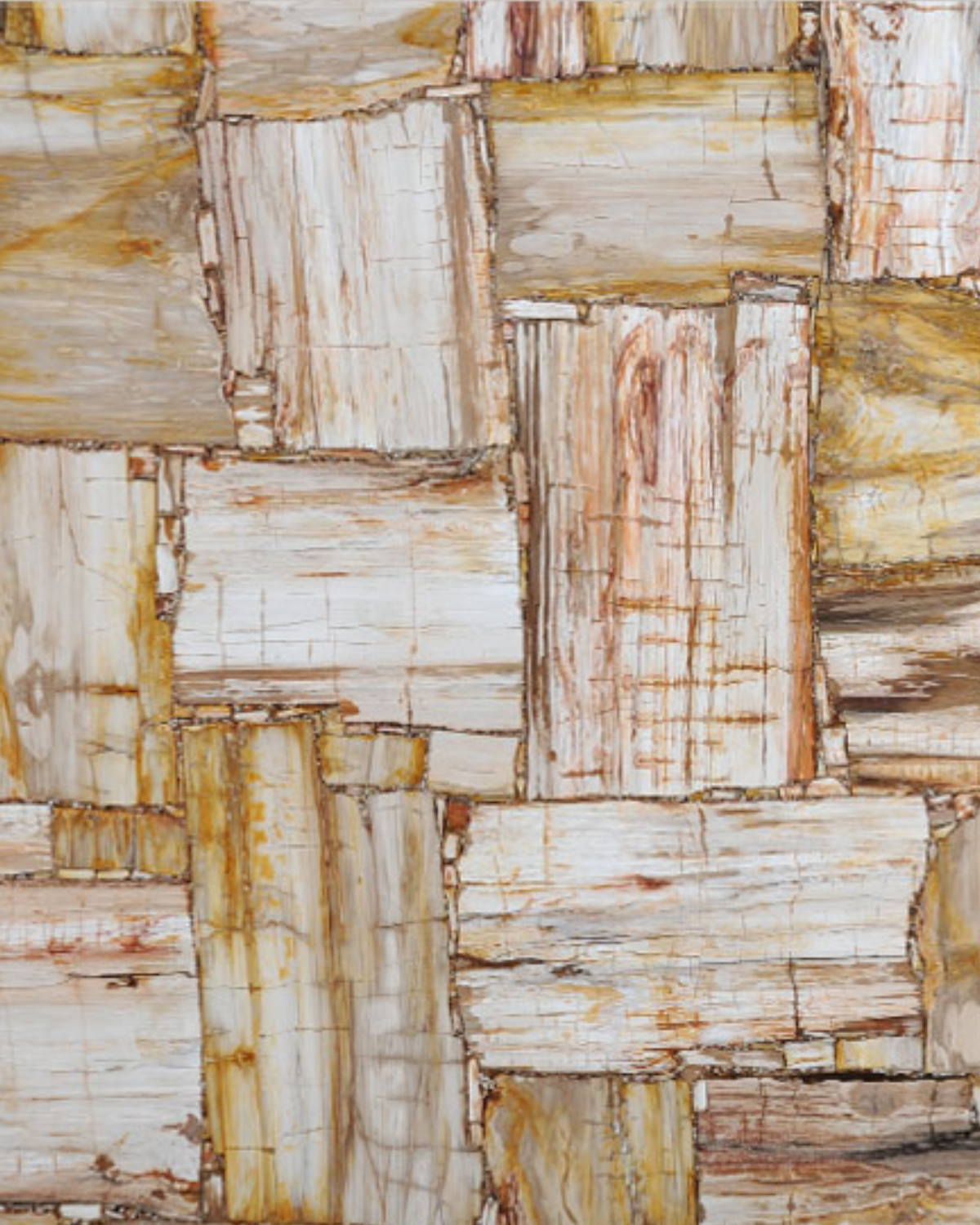 PETRIFIED WOOD - Marmi Orobici Graniti
